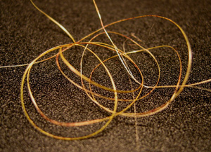 Abaca Fiber - Market Manila