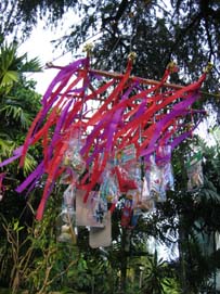 Market Manila - Pabitin - General