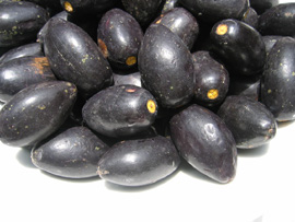 Market Manila - Cooked Ripe Pili Fruit - General