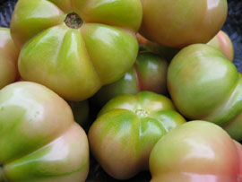 Localized or "Native" Tomatoes - Market Manila
