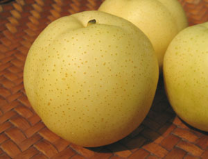 Japanese Pears - Market Manila