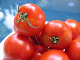 Kamatis / Tomatoes - Market Manila