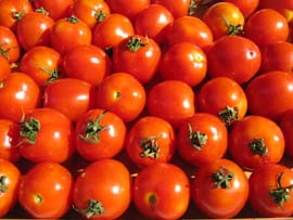 Market Manila - Kamatis / Tomatoes - General