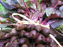 Beetroot - Market Manila