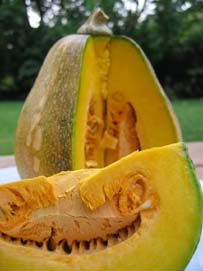 Kalabasa / Winter Squash - Market Manila