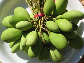 Paho - Market Manila