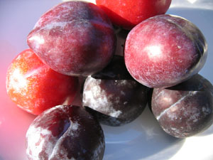 Plums - Market Manila