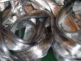 Espada / Hairtails - Market Manila