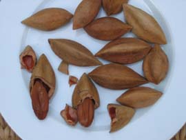 Market Manila - Fresh Pili Fruit and Pili Nuts - Fruit