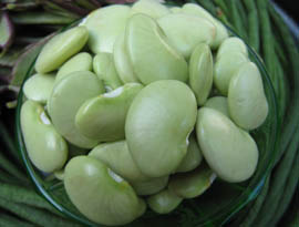 Market Manila - Sitaw, Bataw at Patani / Yard Long, Lablab & Lima Beans ...