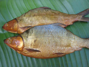 Tinapang Bangus / Boneless Smoked Milkfish - Market Manila