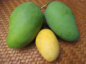 "Millenium" Mangoes - Market Manila