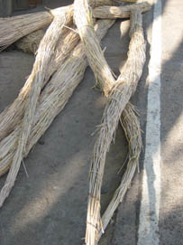 Market Manila - Rattan Vines - General