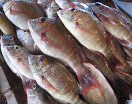 Market Manila - Shopping for a Fish Dinner, Coron Town Market - General
