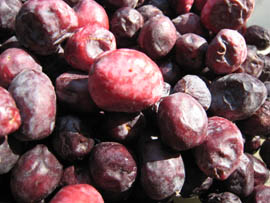 Market Manila - Kalumpit (De-wormed, Overripe, Semi-fermented & Sugared ...