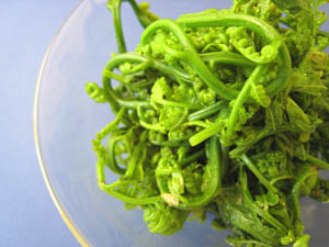 Pako / Fiddlehead Ferns - Market Manila
