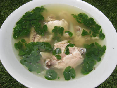 Malunggay Soup