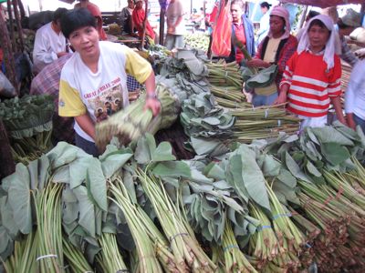 Gabi Leaves in Albay, Cebu and Palawan... - Market Manila