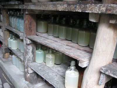 Market Manila - Sukang Tuba / Coconut Sap Vinegar - General