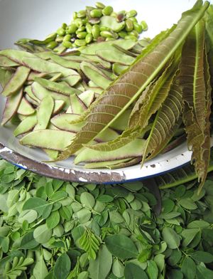 Market Manila - “Lubi-Lubi” - General