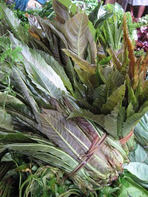 Market Manila - “Lubi-Lubi” - General