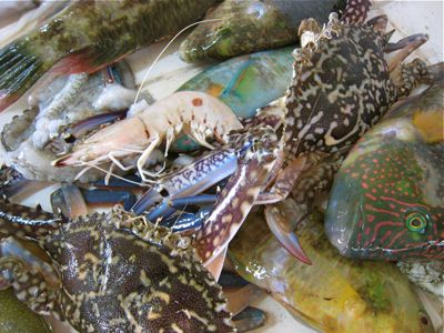 Bogo Market, Northern Cebu - Market Manila