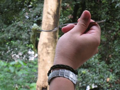 Marketman Tastes Some Lukot / Sea Hare Secretions - Market Manila