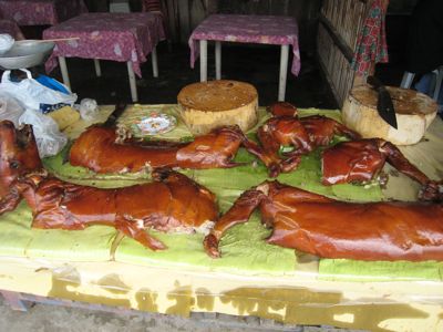 Market Manila - The Pig Before “The Pigs”… - General