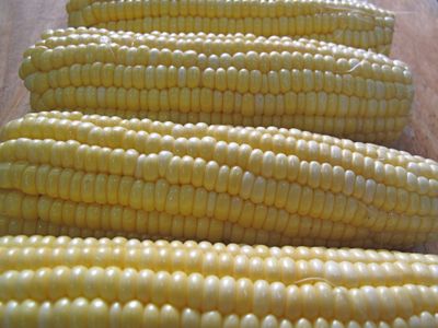 Market Manila - Field Fresh Corn - General