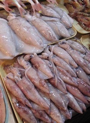 Market Manila - Pala-Pala Fish Market, Bacolod - General