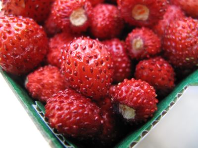 Market Manila - Fraises des Bois / Frais du Bois / Frutti di Bosco ...