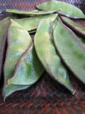 What Are These??? - Market Manila