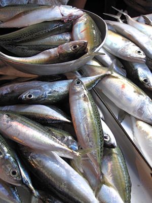 Market Manila - Manang Nene, The Fishmongress - General