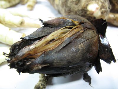 Care to Identify This?! :) - Market Manila