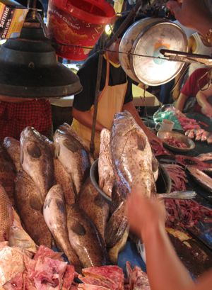 How to Fillet A Large Grouper... - Market Manila