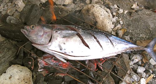 Market Manila - Grilled Tulingan on the Beach - Fish