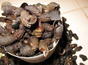 Market Manila - Tudlo Dato / Rich Man’s Fingers, etc. - General