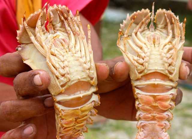 Market Manila - Lunch on Pandanon Beach - Fish