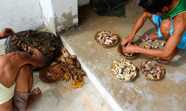 Market Manila - Saang / Spider Shell / Lambis Scorpius - Appetizers
