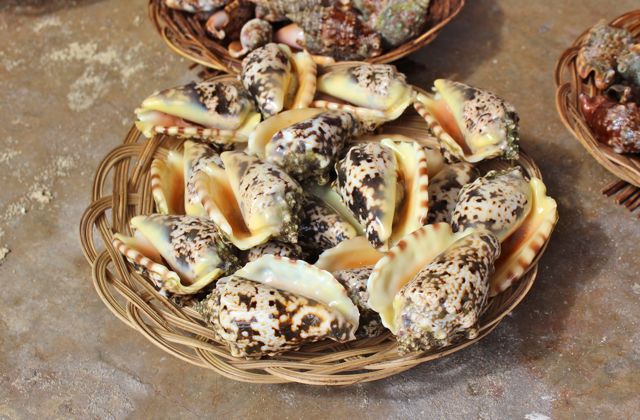 Market Manila - Saang / Spider Shell / Lambis Scorpius - Appetizers