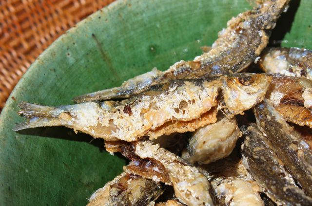 Market Manila - Fried Tawilis For Lunch… - Appetizers