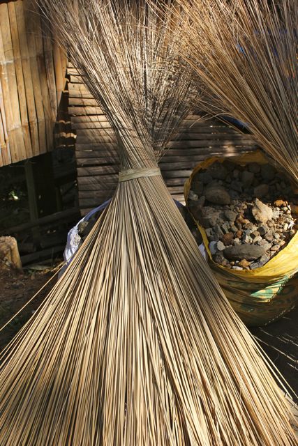 Market Manila - Amazing Buri Palms… - General