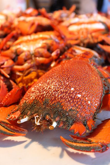 Market Manila - Curacha Toasts a la Marketman - Appetizers