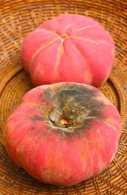 Market Manila - Mabolo in Season - Fruit