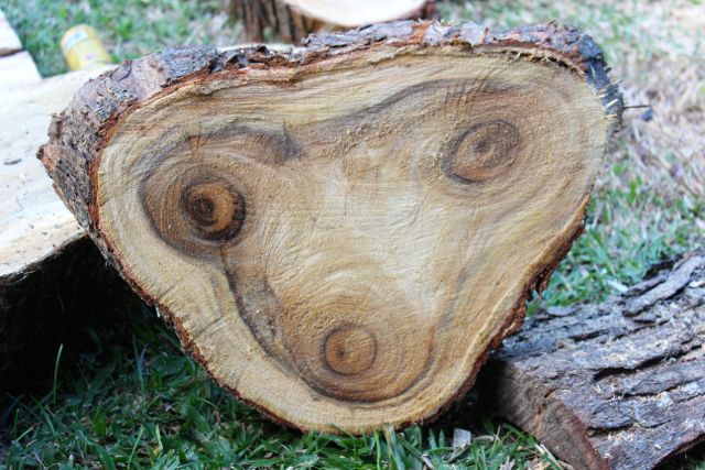 Just noticed that the table I’m making out of wood looks like Sid the ...