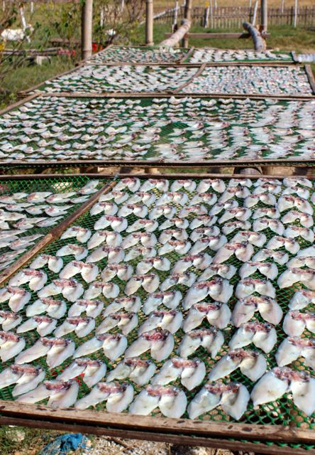 Market Manila - Three Ways with Danggit — Version 2: Labtingaw - Fish