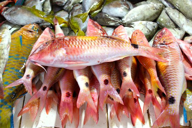 Market Manila - Snapshots from the Bogo Public Market, Northern Cebu ...