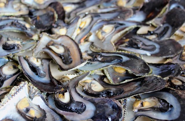 Market Manila - Our First Bantayan Seafood Lunch… - Fish