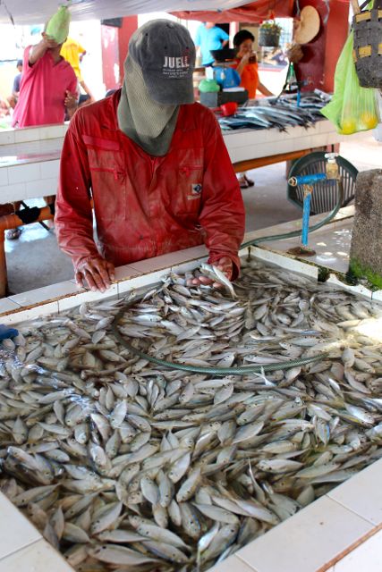 Market Manila - Semi-Dried Caraballas Fish… - Fish