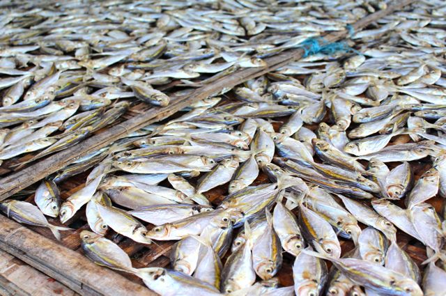 Market Manila - Semi-Dried Caraballas Fish… - Fish